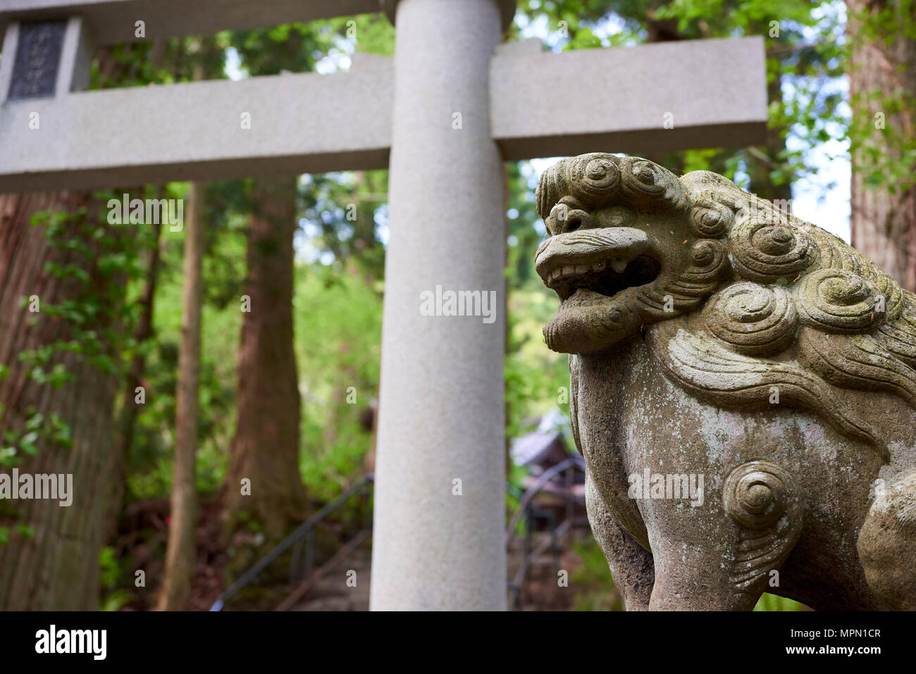 A-gyo komainu statue with tori gates in the background. The passage ...