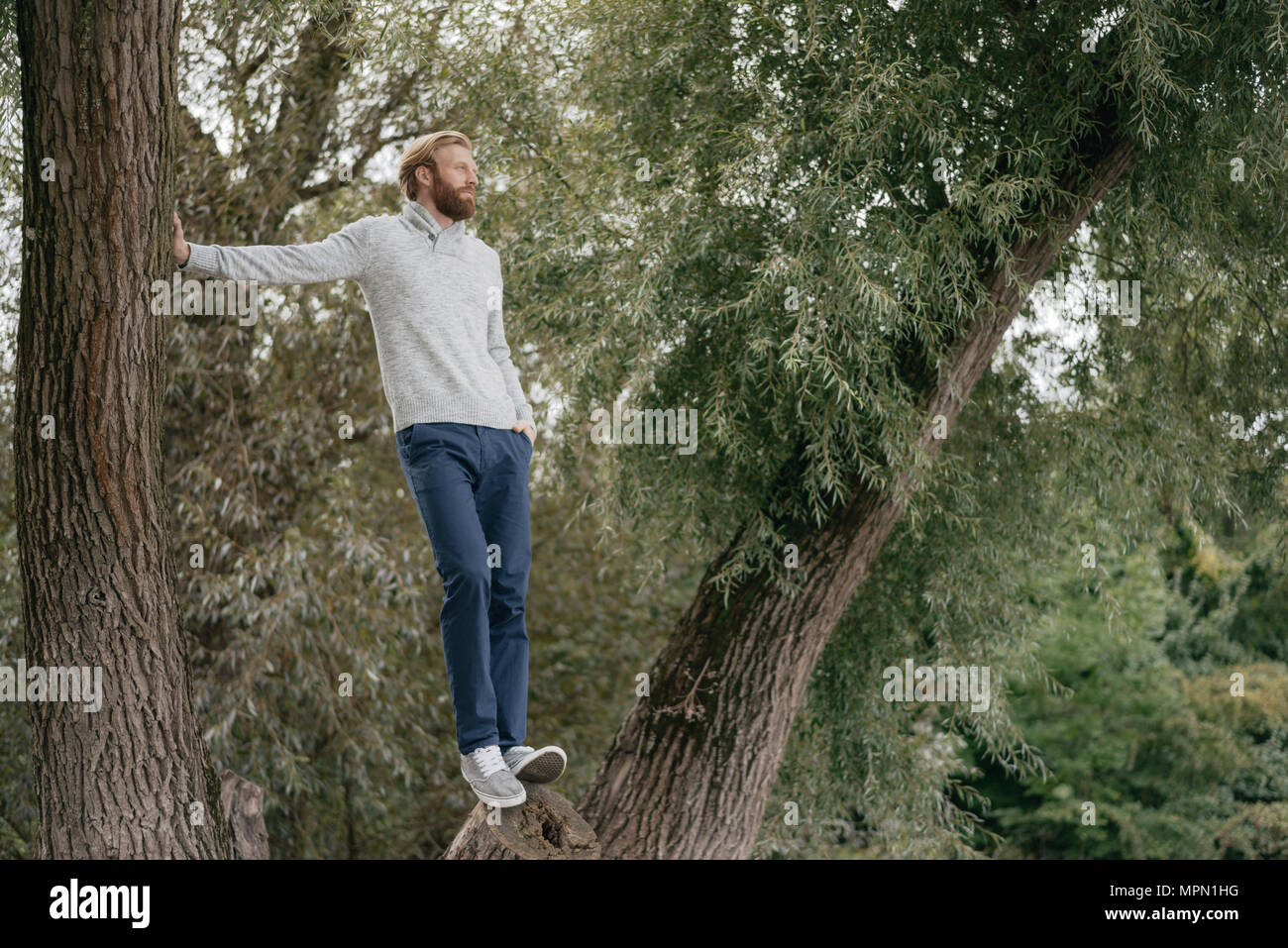 Man standing on tree trunk looking at distance Stock Photo - Alamy
