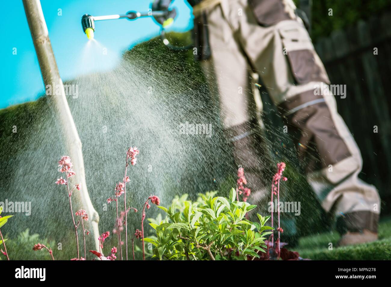 Working insects hi-res stock photography and images - Alamy