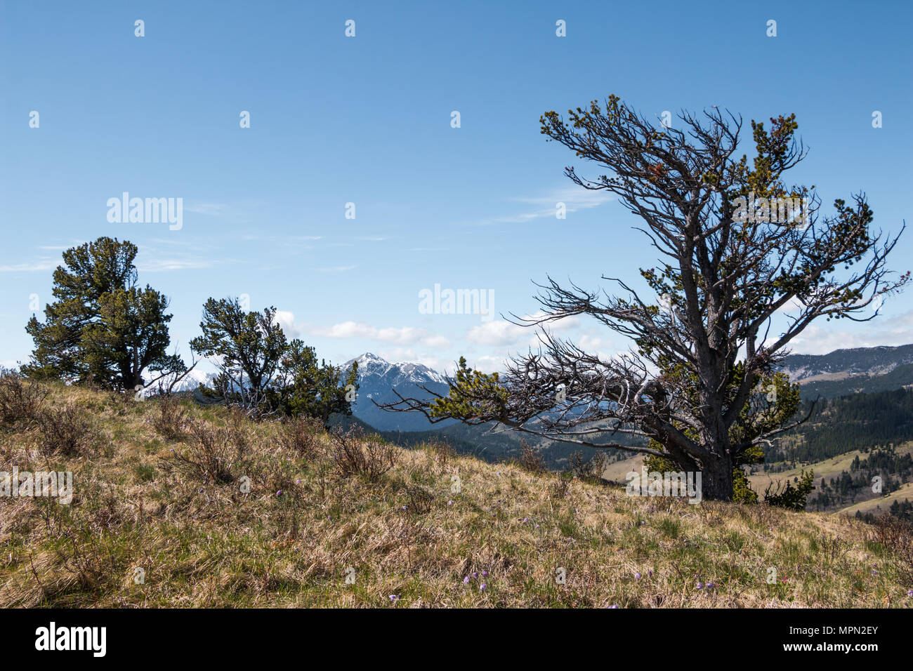 Wildland provincial park hi-res stock photography and images - Alamy