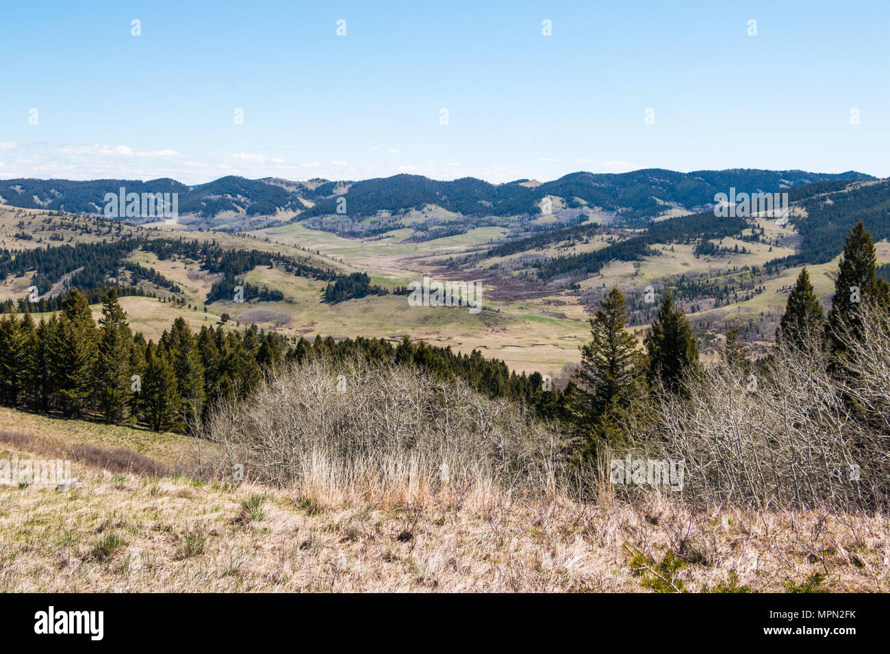 Wildland provincial park hi-res stock photography and images - Alamy