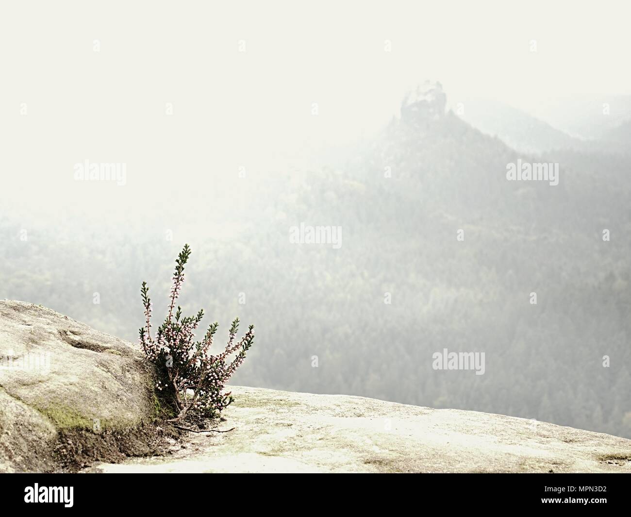 High sharp mountain peaks from plane beautiful view. Fantastic dreamy ...