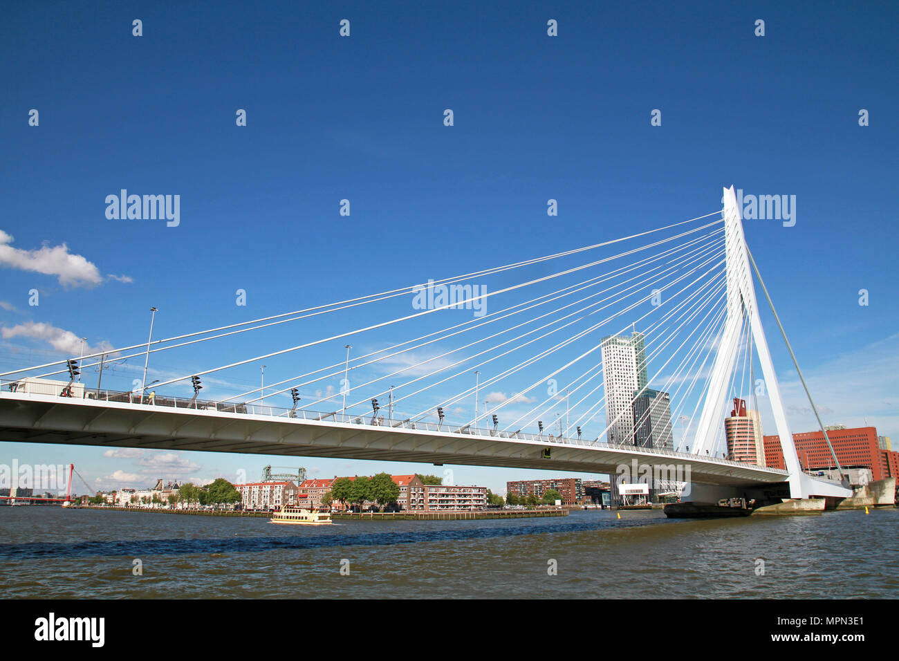 Erasmus bridge in Rotterdam Stock Photo - Alamy