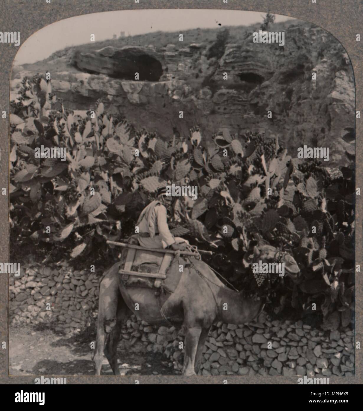 Golgotha skull hi-res stock photography and images - Alamy