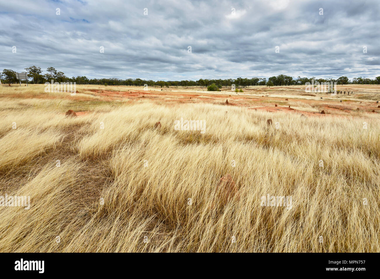 Almaden hi-res stock photography and images - Alamy