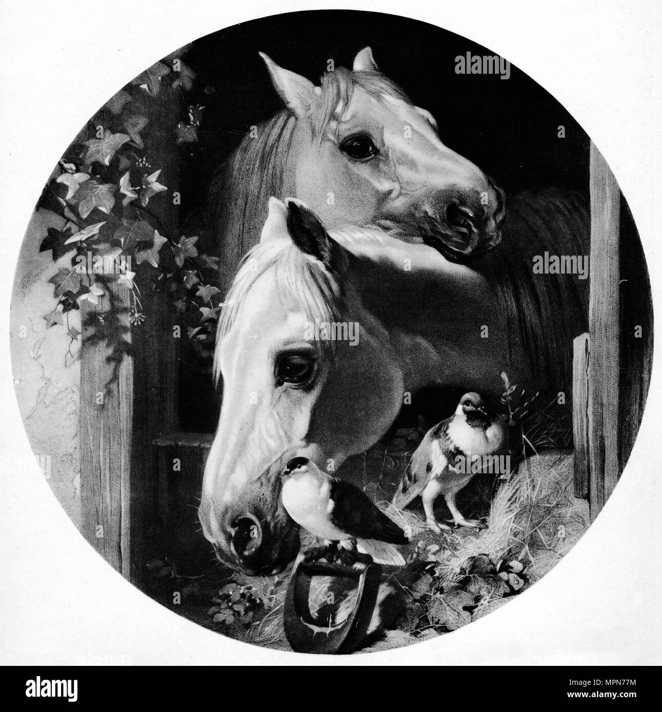 John frederick herring i herring Black and White Stock Photos & Images ...