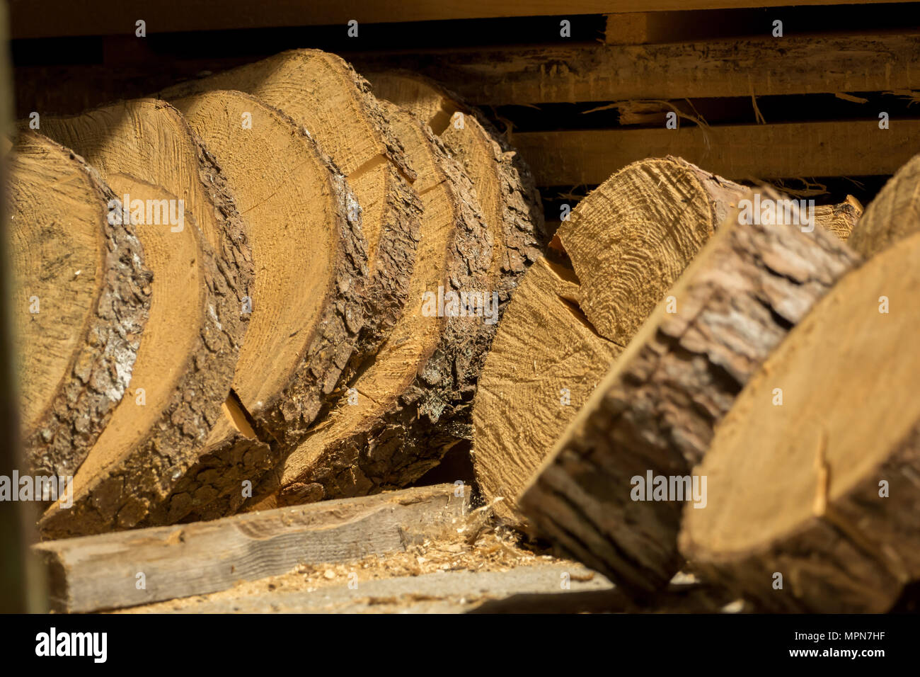 Slices of timber hi-res stock photography and images - Alamy