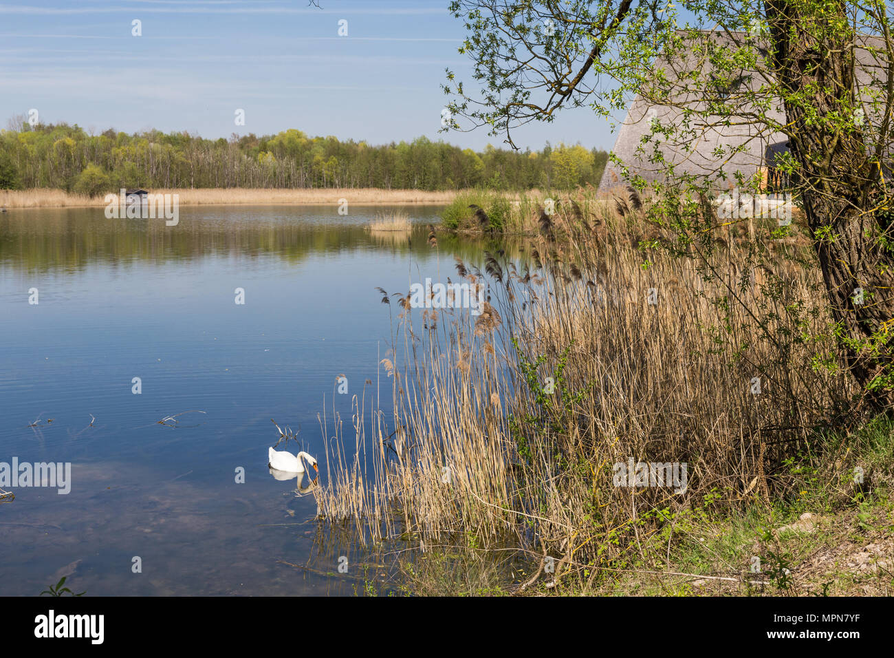 quarry lake in Remerschen Stock Photo - Alamy