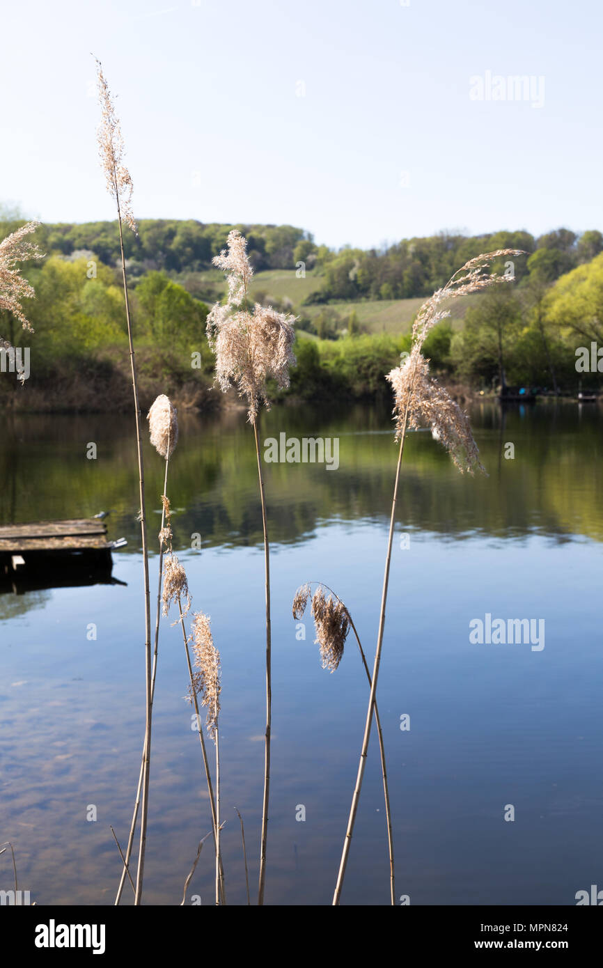 quarry lake in Remerschen Stock Photo - Alamy