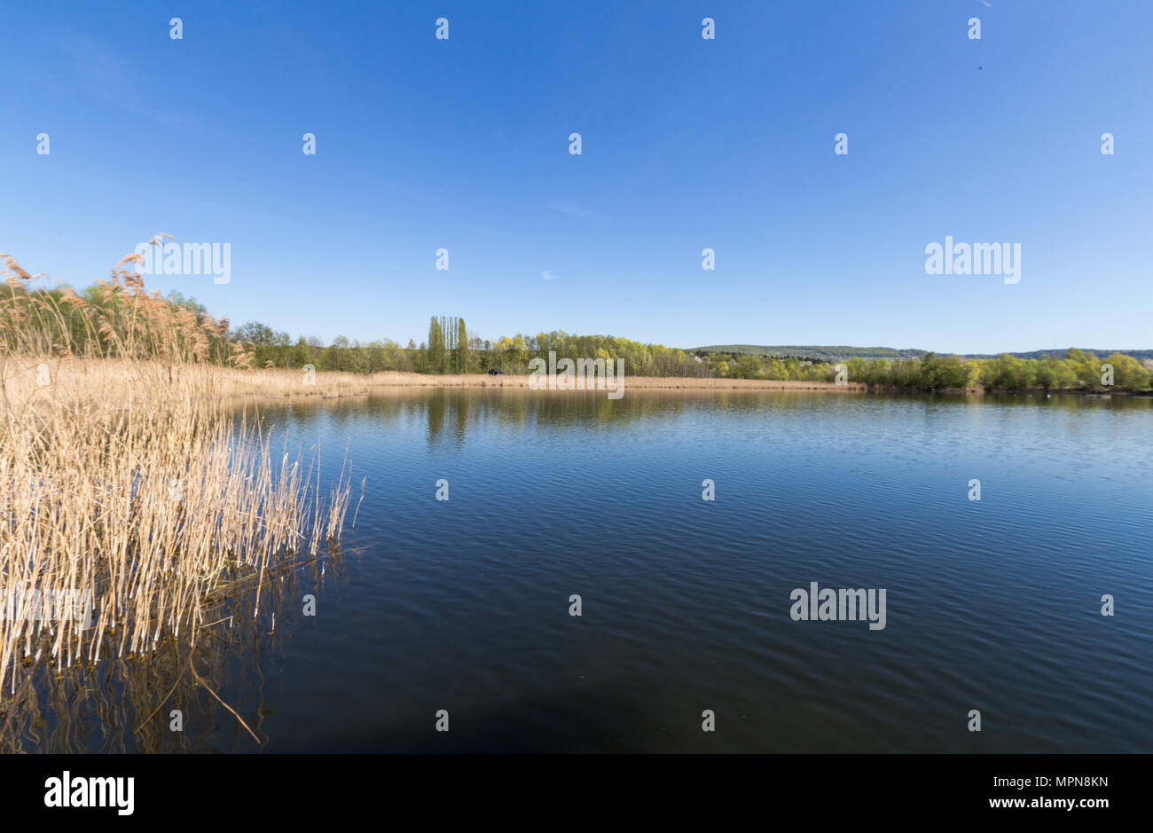 quarry lake in Remerschen Stock Photo - Alamy