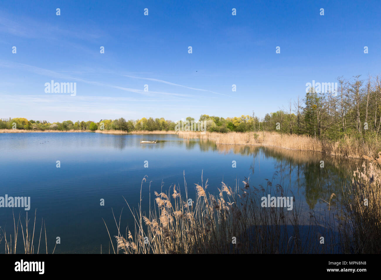 quarry lake in Remerschen Stock Photo - Alamy