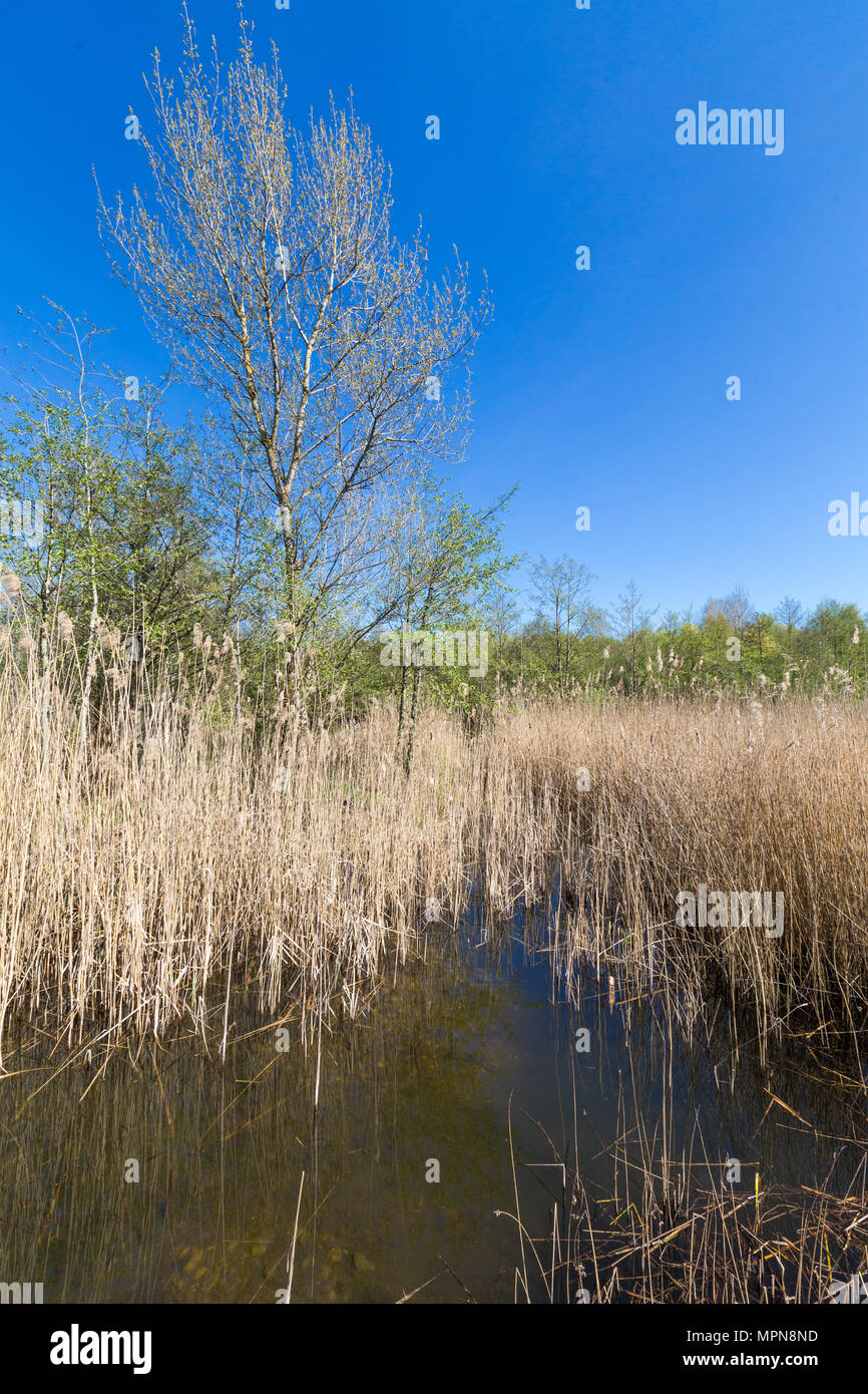 quarry lake in Remerschen Stock Photo - Alamy