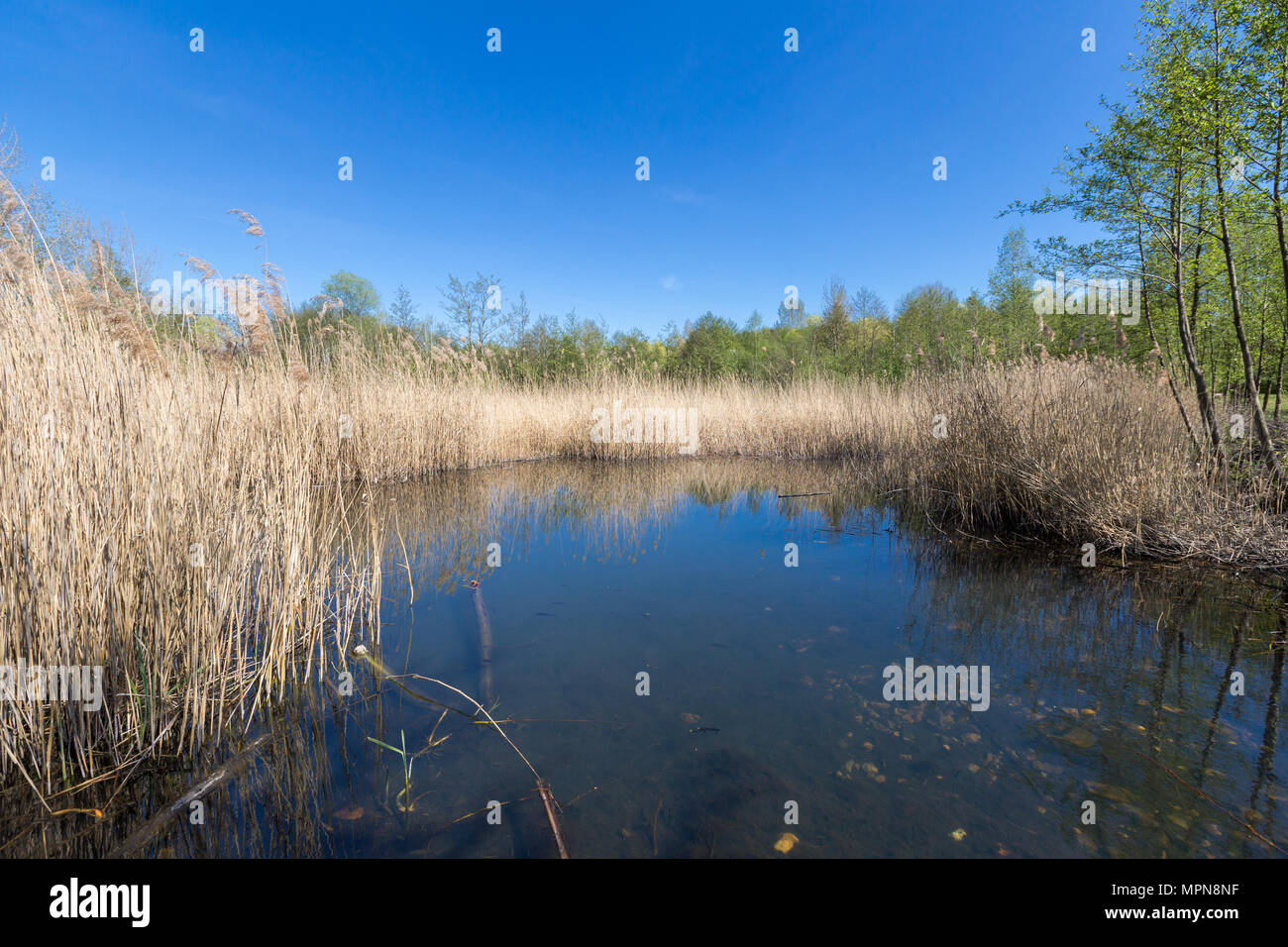 quarry lake in Remerschen Stock Photo - Alamy