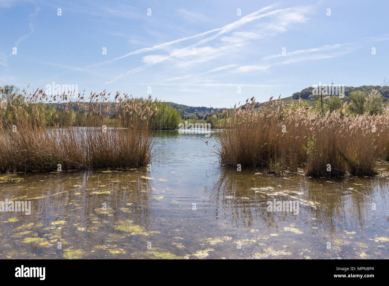 quarry lake in Remerschen Stock Photo - Alamy