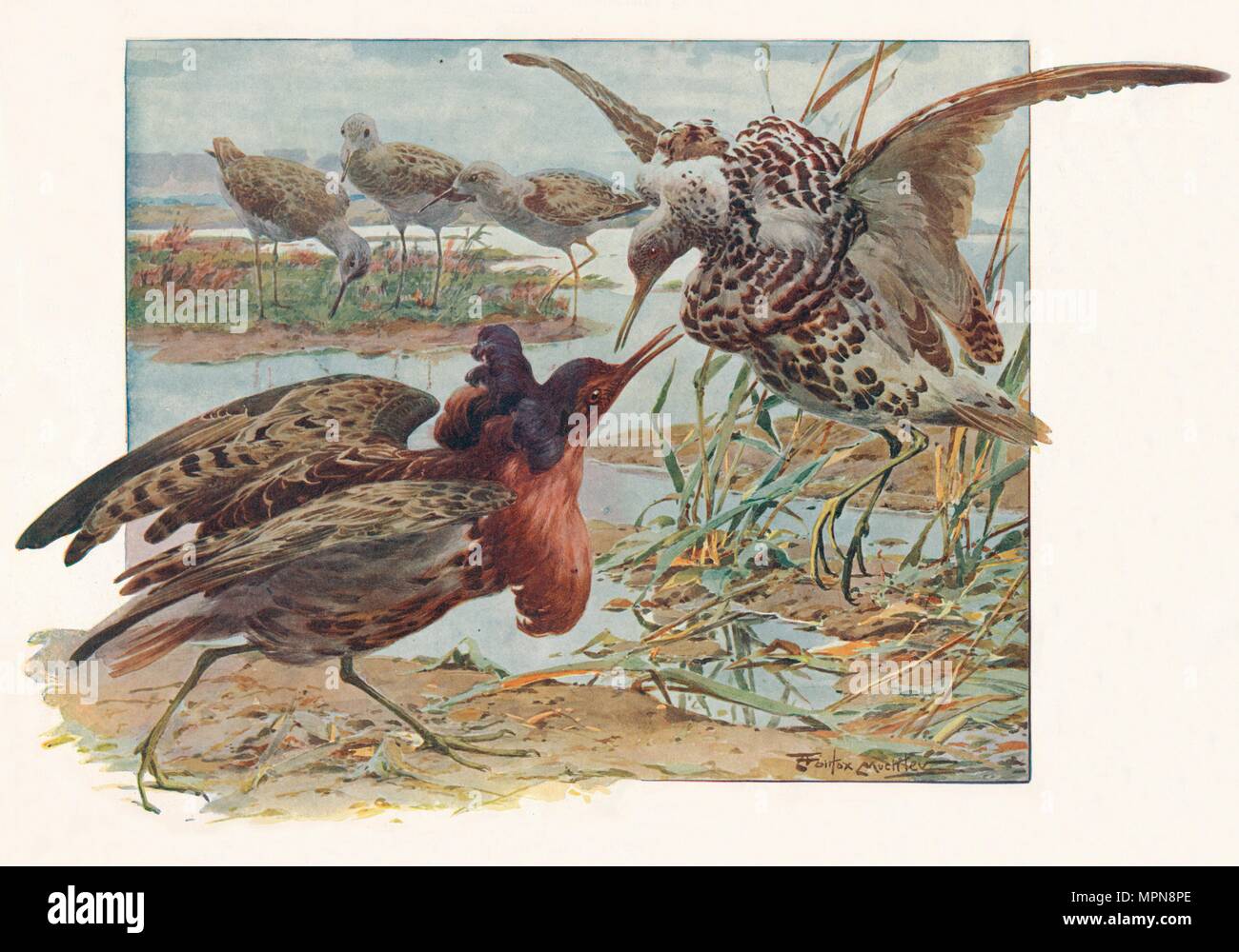 Louis fairfax muckley hi-res stock photography and images - Alamy