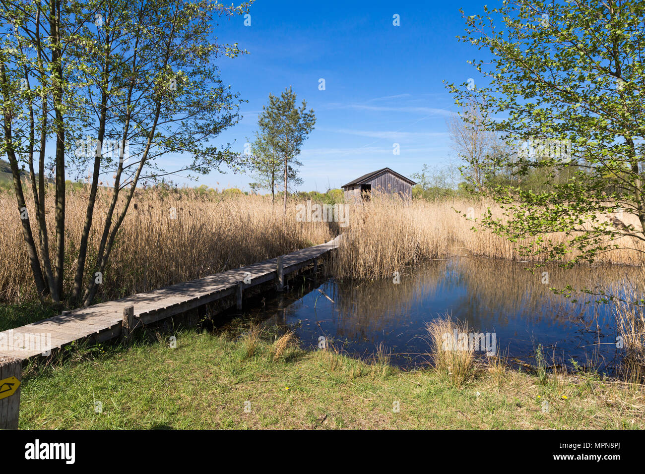 quarry lake in Remerschen Stock Photo - Alamy