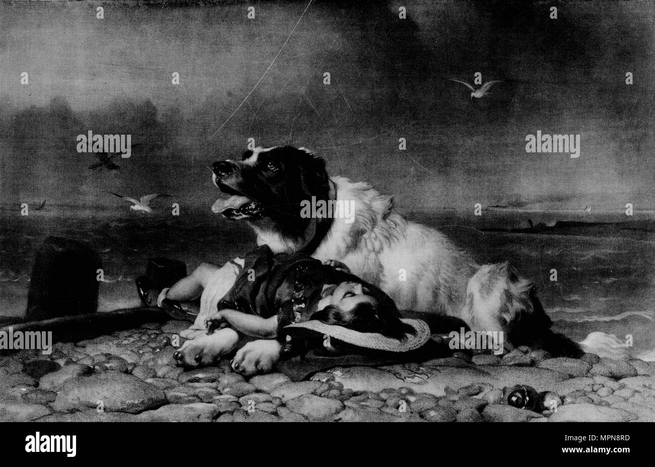 Saved by landseer hi-res stock photography and images - Alamy