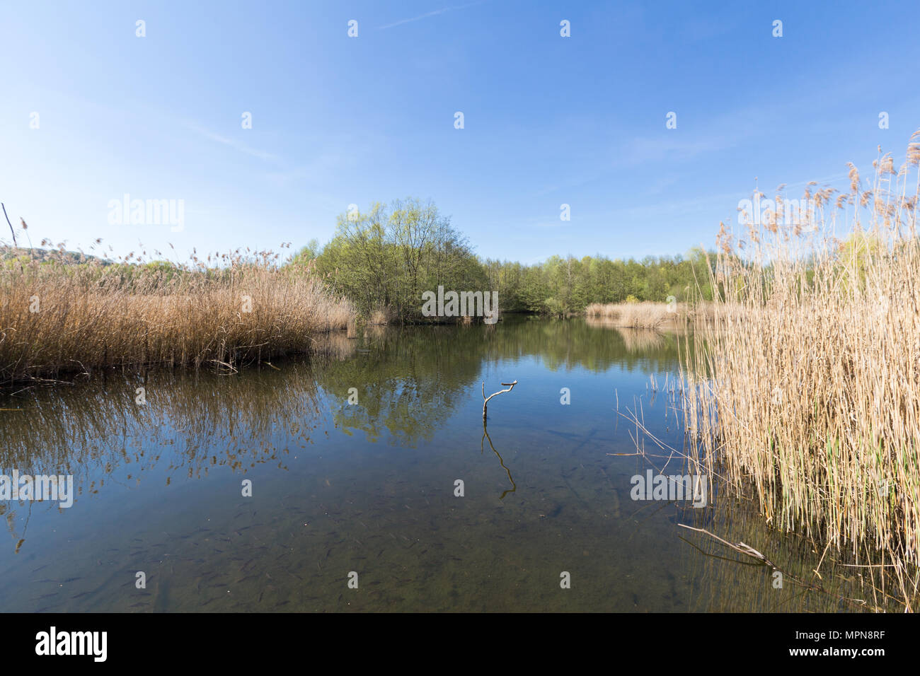 quarry lake in Remerschen Stock Photo - Alamy