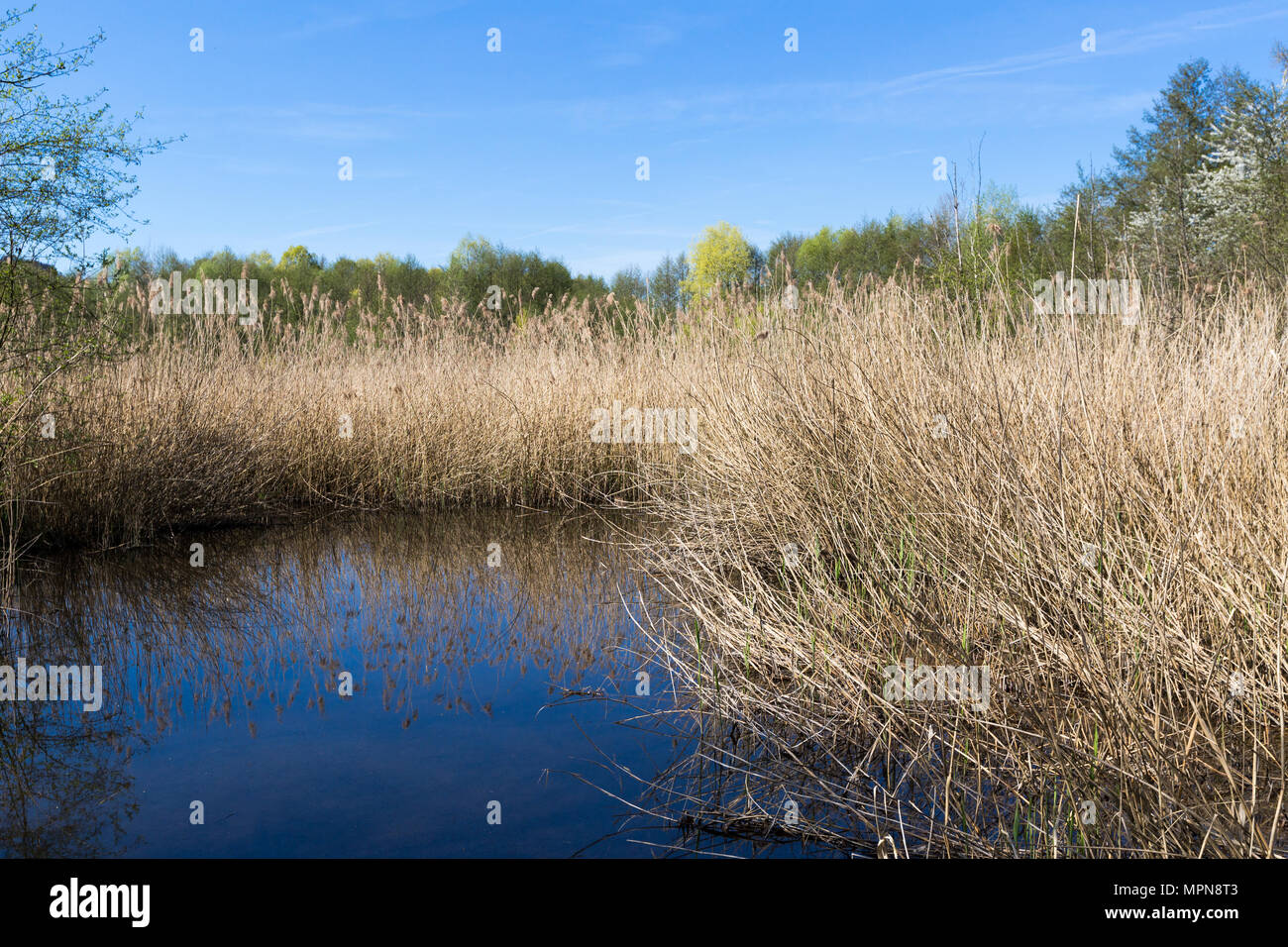 quarry lake in Remerschen Stock Photo - Alamy