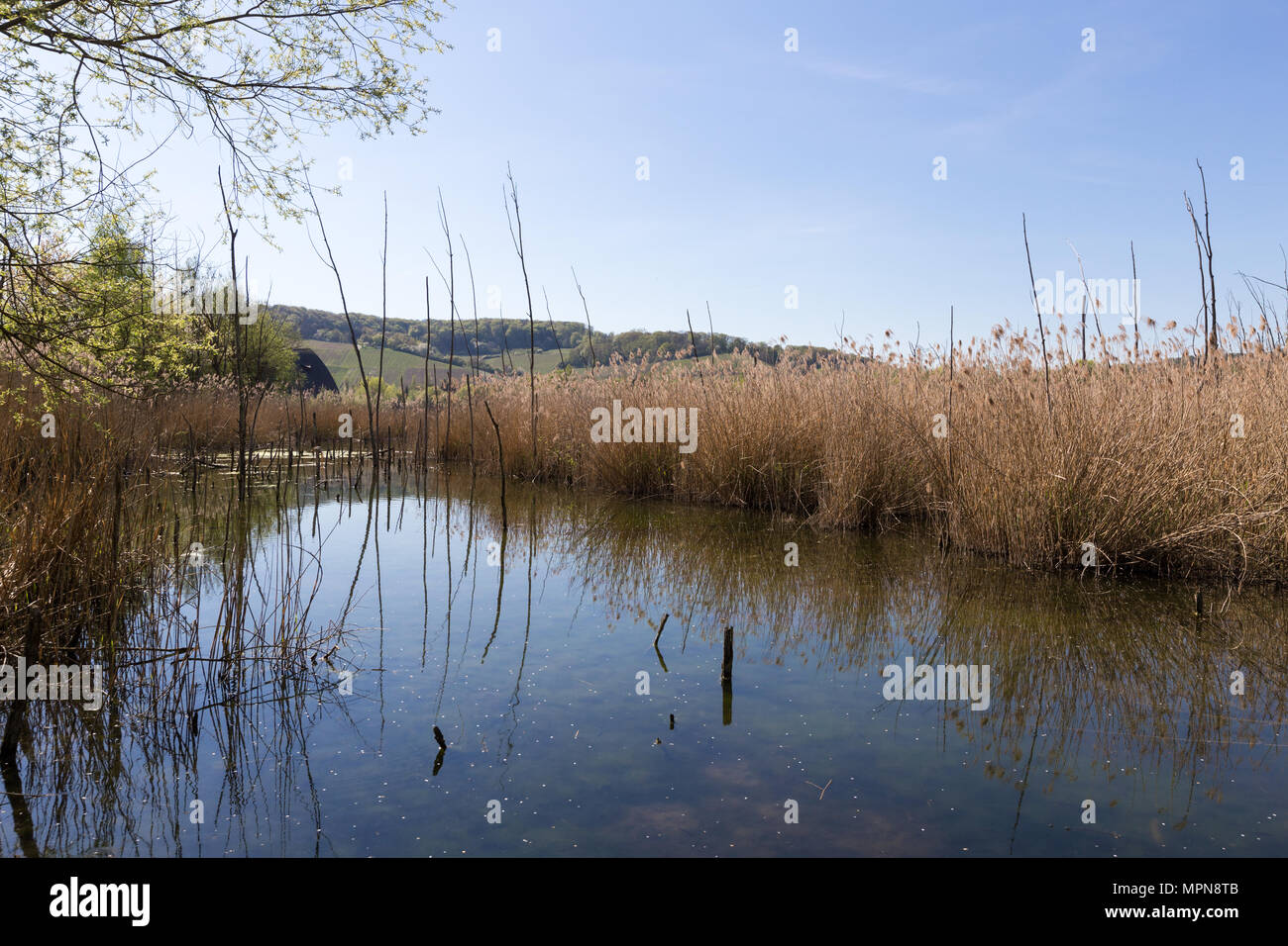 quarry lake in Remerschen Stock Photo - Alamy