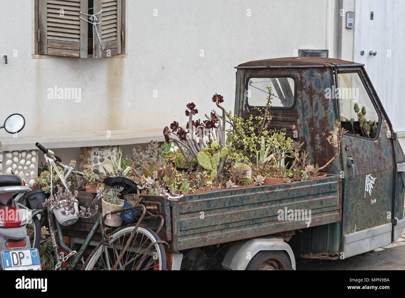 succulents on motorcycle Stock Photo - Alamy