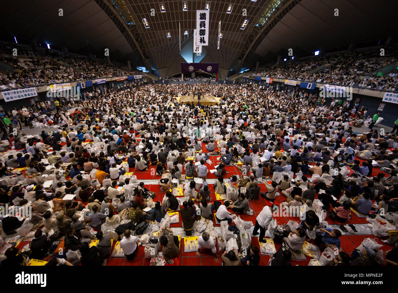 Crowd sitting on red carpets in a large hall watching a Sumo fight ...