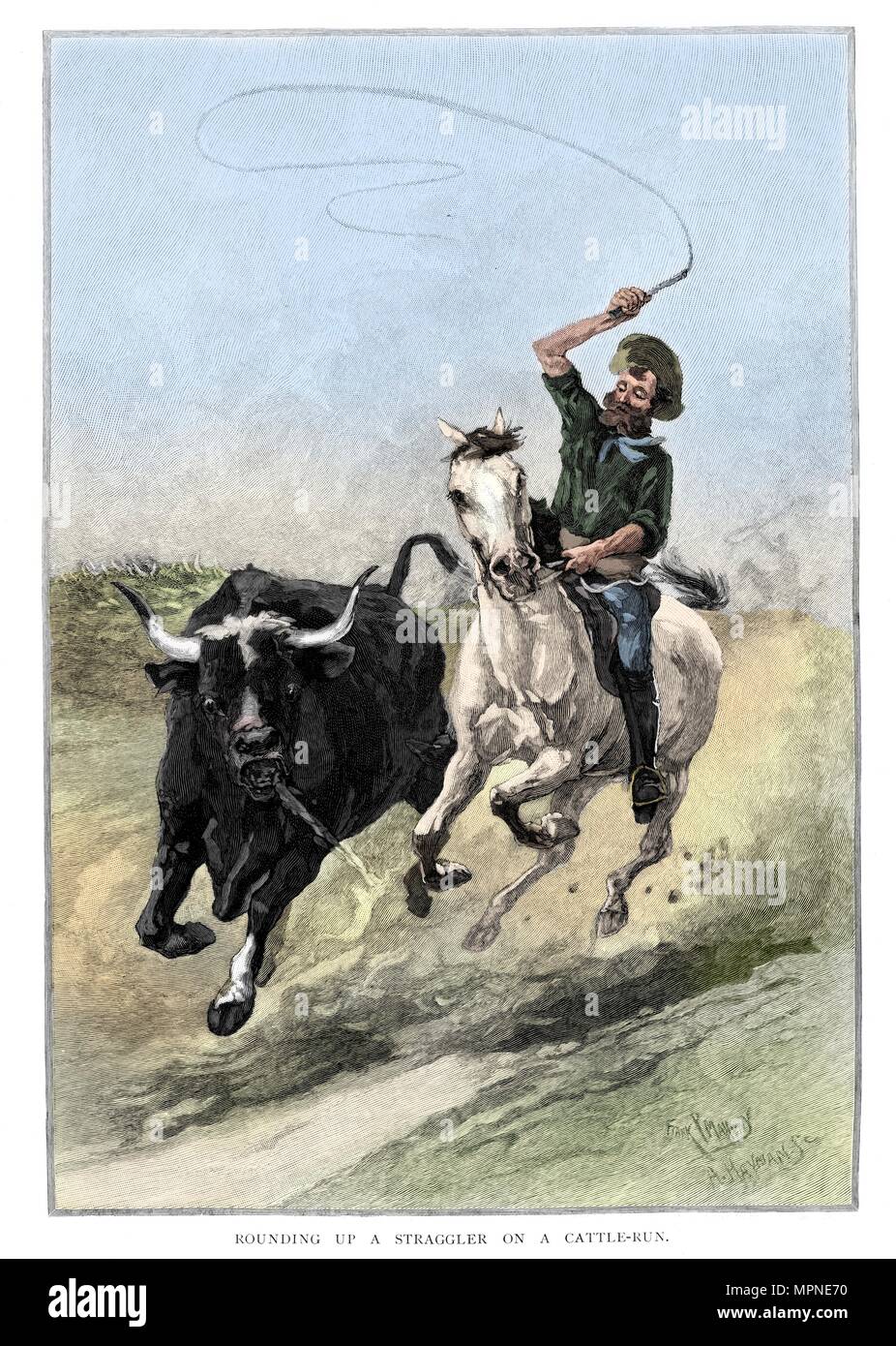 Bull chasing man hi-res stock photography and images - Alamy