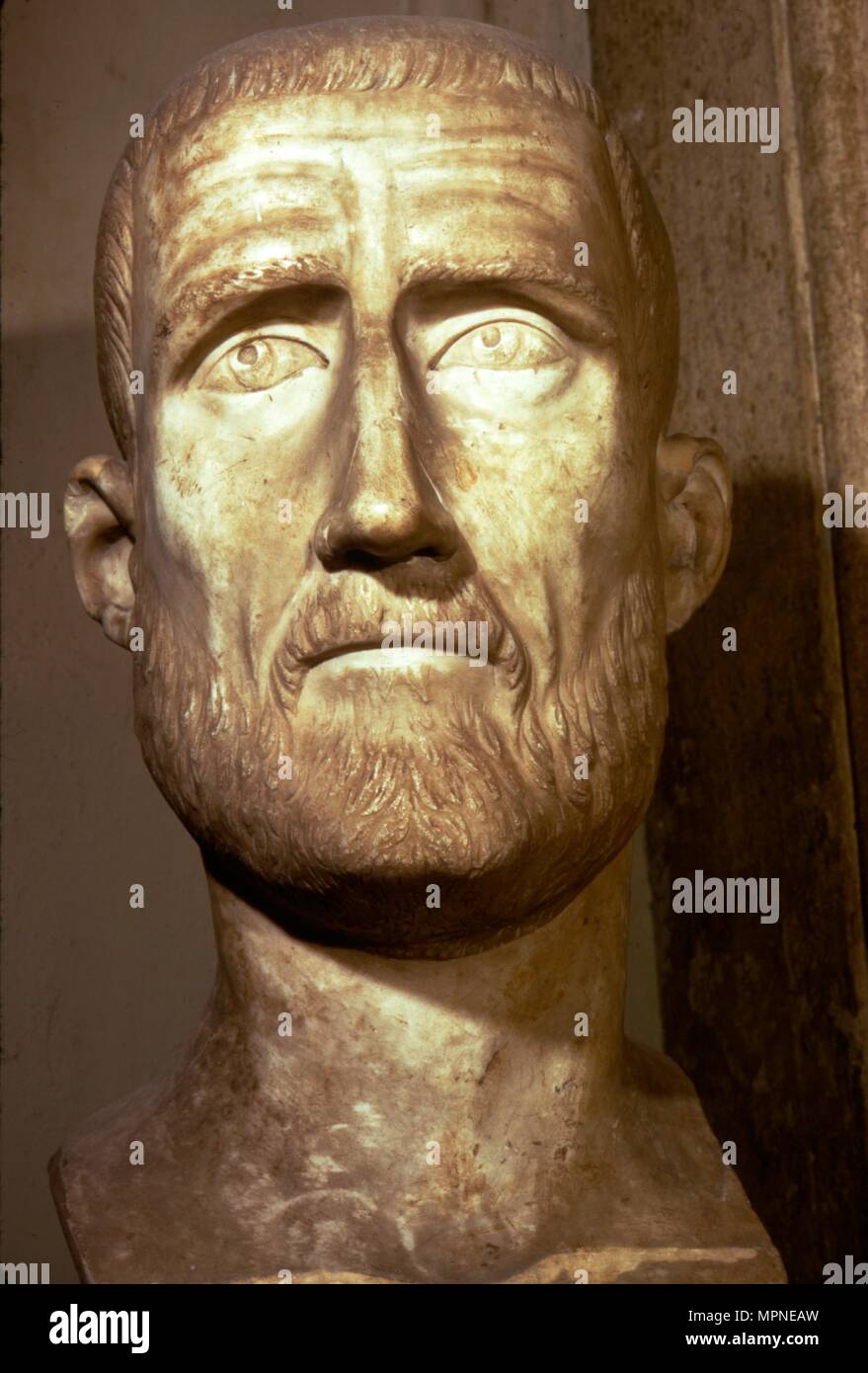 Probus hi-res stock photography and images - Alamy