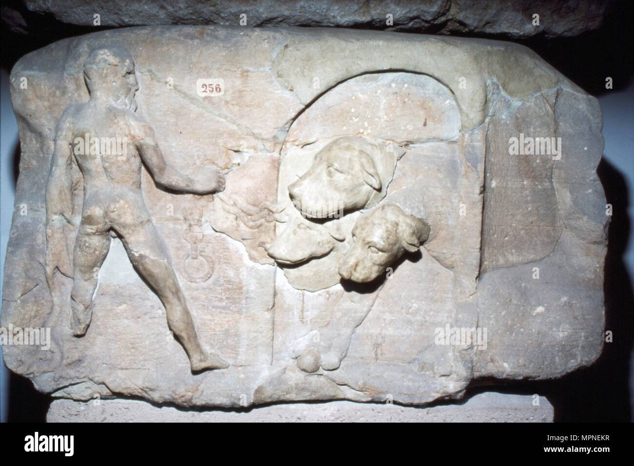 Relief from mausoleum of Hercules chaining Cerberus, c2nd century ...