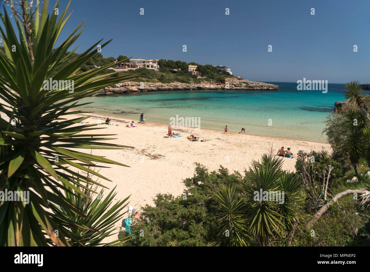 Badebucht Cala Marcal in Portocolom, Mallorca, Balearen, Spanien ...