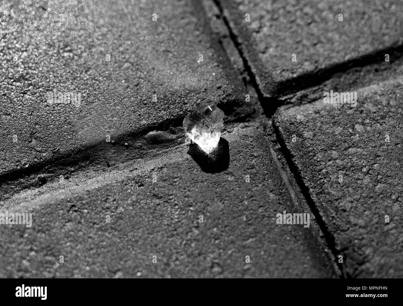 Awesome unusual hi-res stock photography and images - Alamy