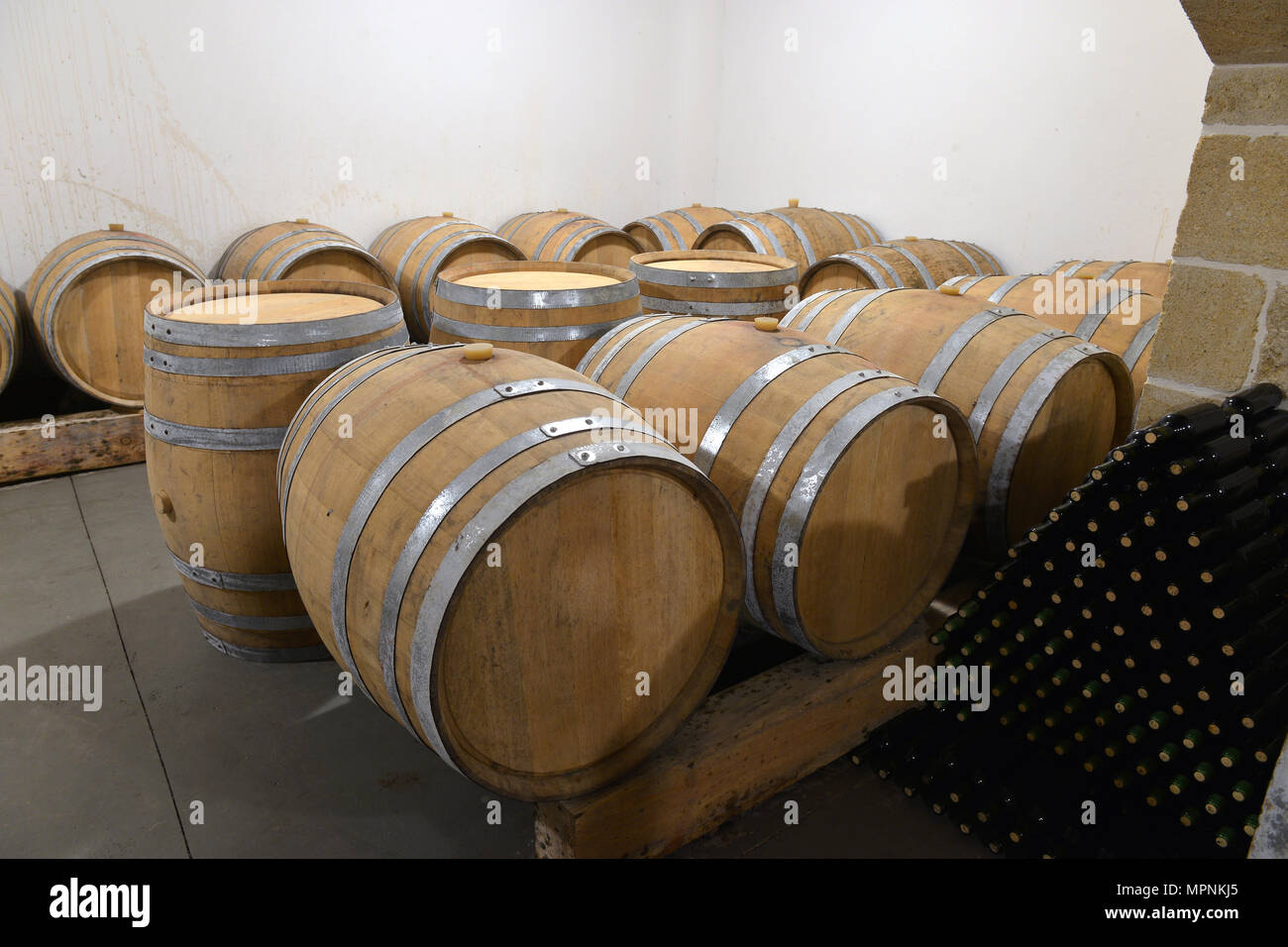 Casks in wine cellar and bottle Stock Photo - Alamy