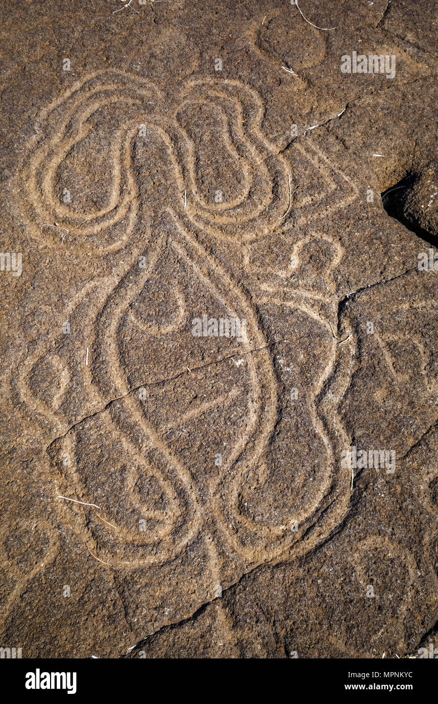 Petroglyphs on rocks in pacific ocean, easter island, Chile Stock Photo ...