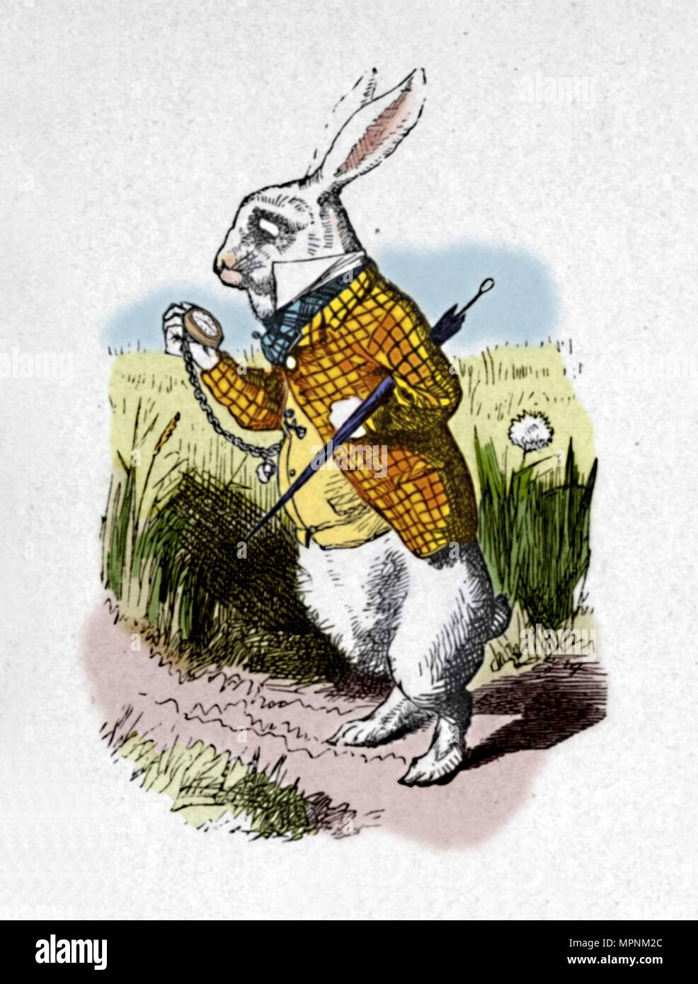 Alice In Wonderland Original Illustrations Color White Rabbit