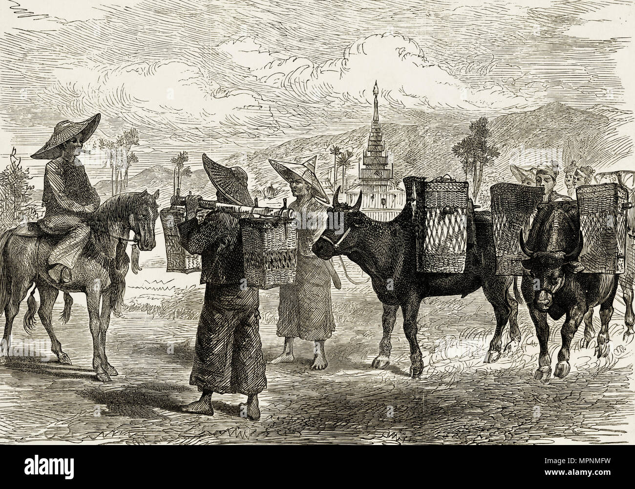 Victorian 19th century horse hi-res stock photography and images - Alamy