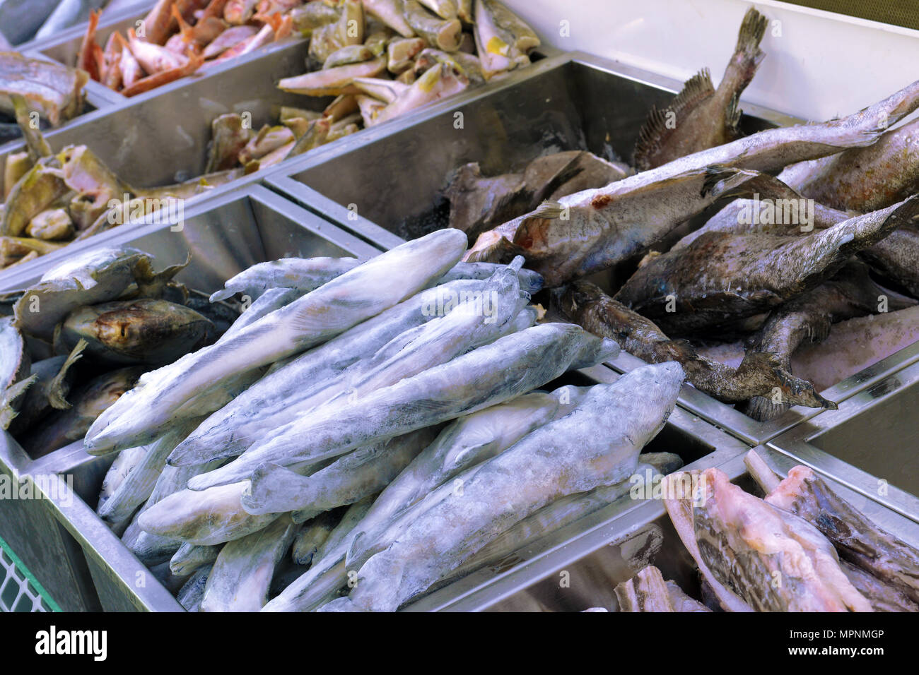 Fish frozen in ice block hi-res stock photography and images - Alamy