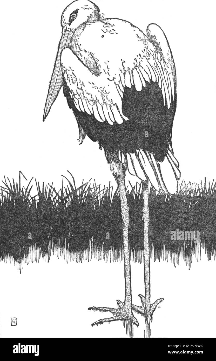 'Father-Stork', c1930. Artist: W Heath Robinson Stock Photo - Alamy