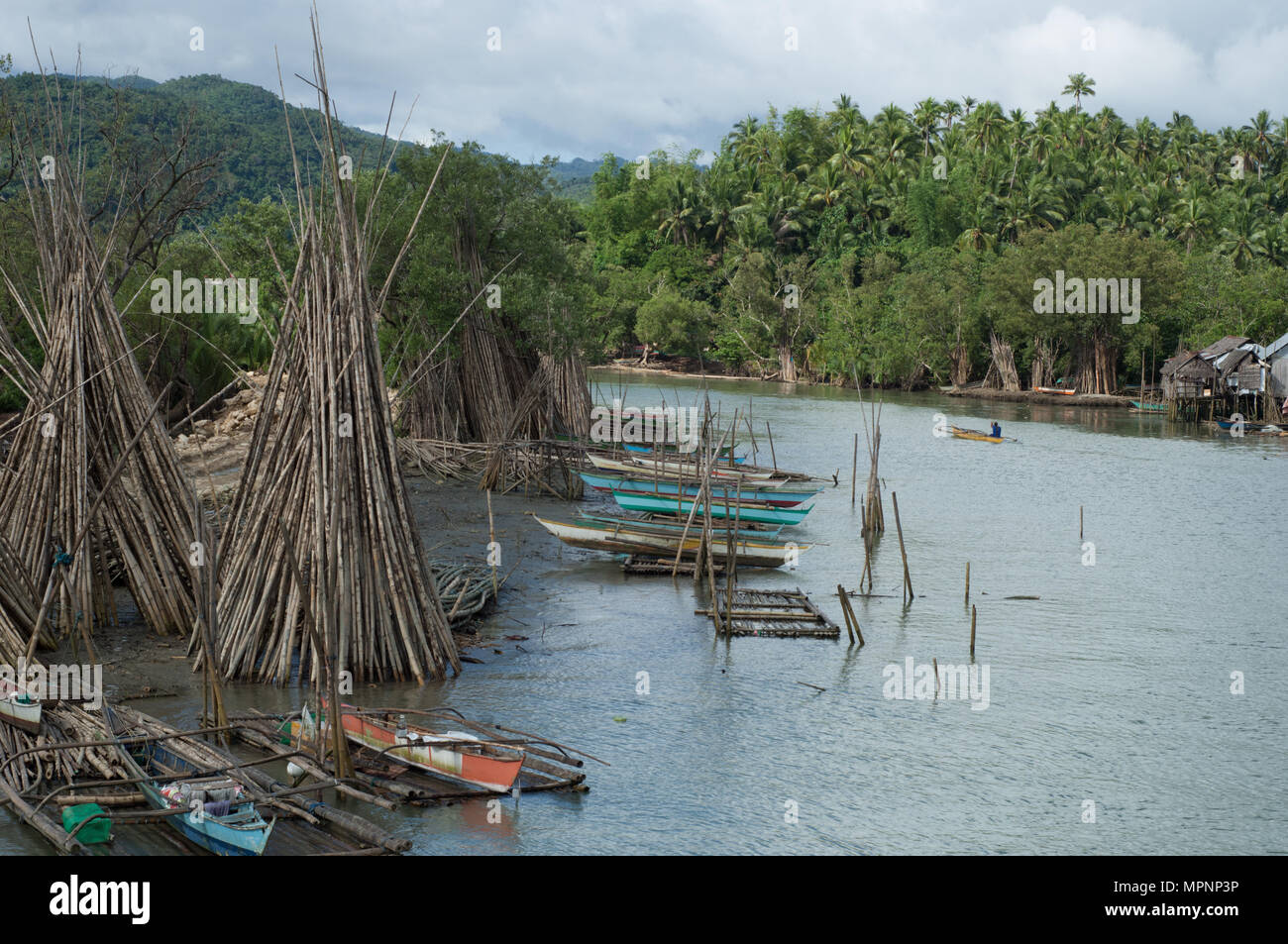 Air Drying Bamboo at Debra Masters blog