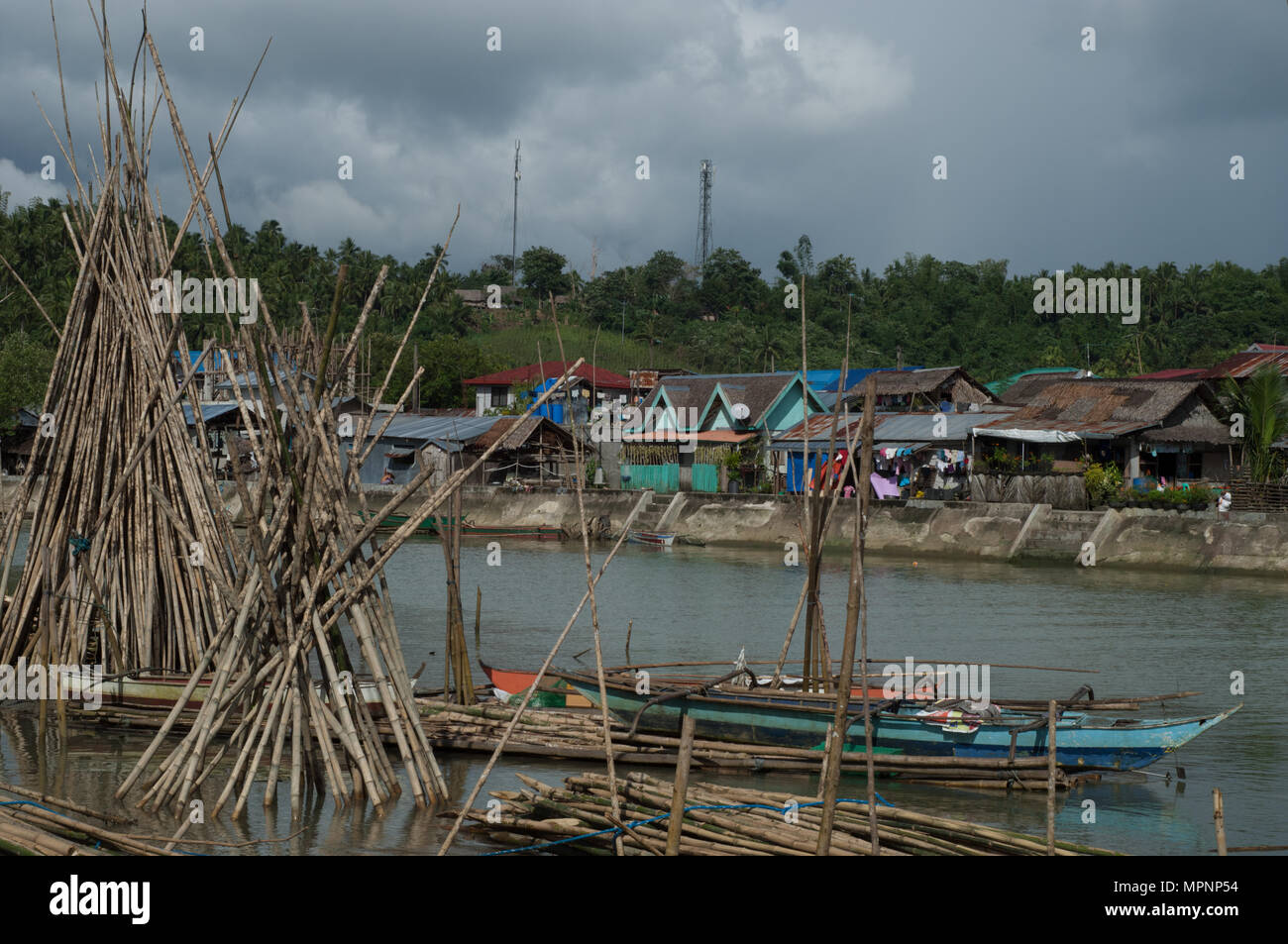 Bamboo pyramids, Jiabong, Samar Stock Photo - Alamy