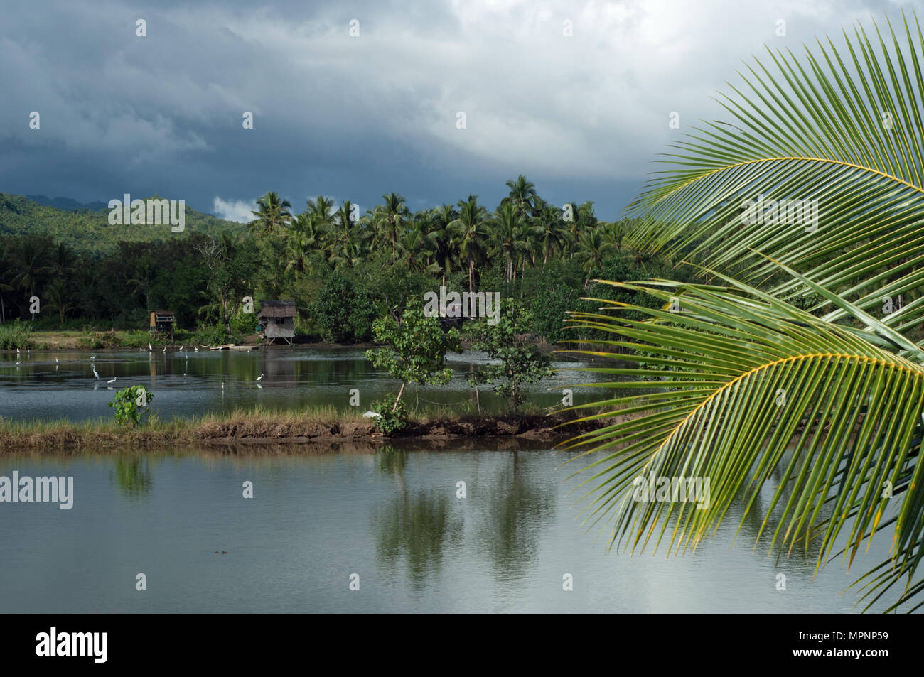 Jiabong hi-res stock photography and images - Alamy