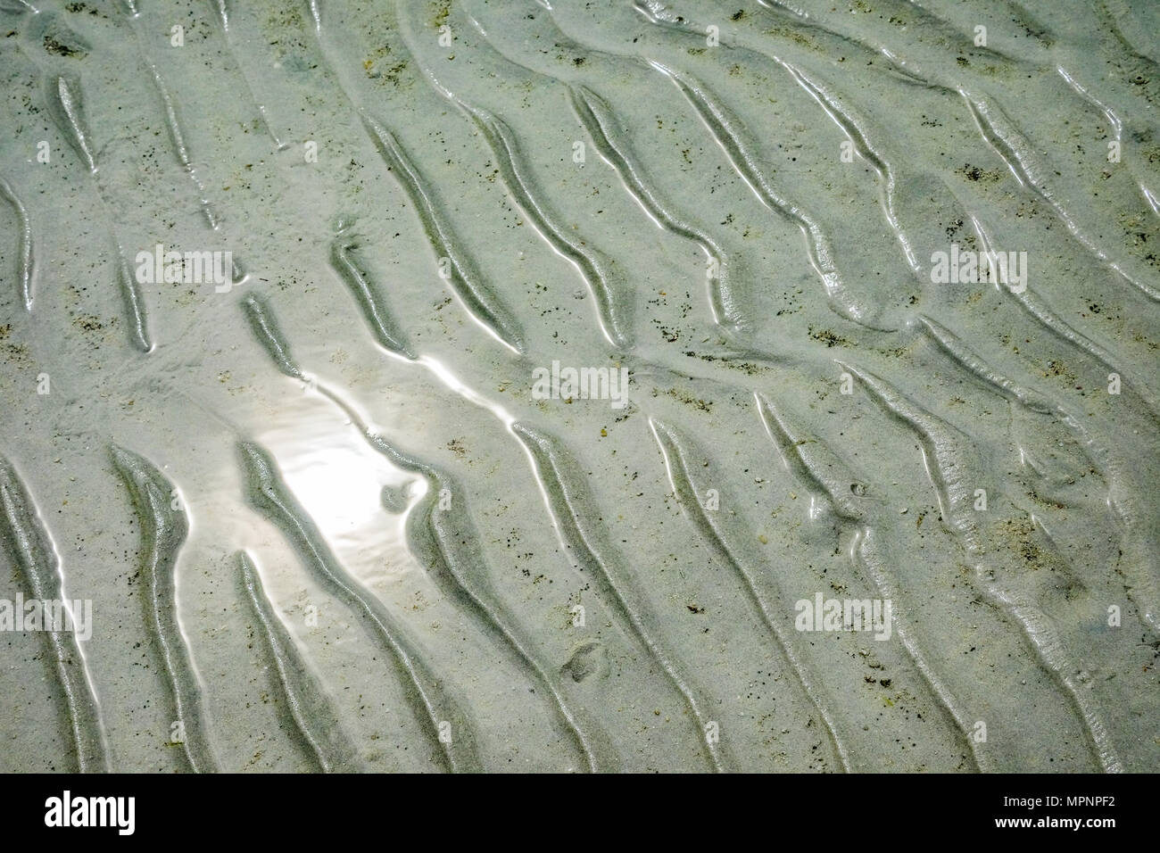 Sand ridges on beach, Myeik Archipelago, Myanmar Stock Photo - Alamy