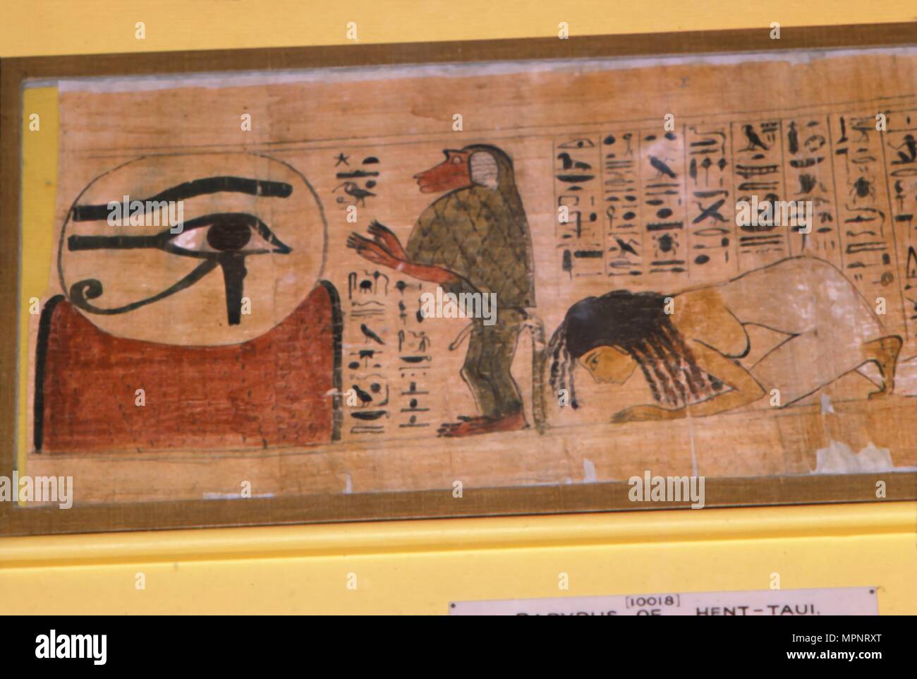 Papyrus of hent taul hi-res stock photography and images - Alamy