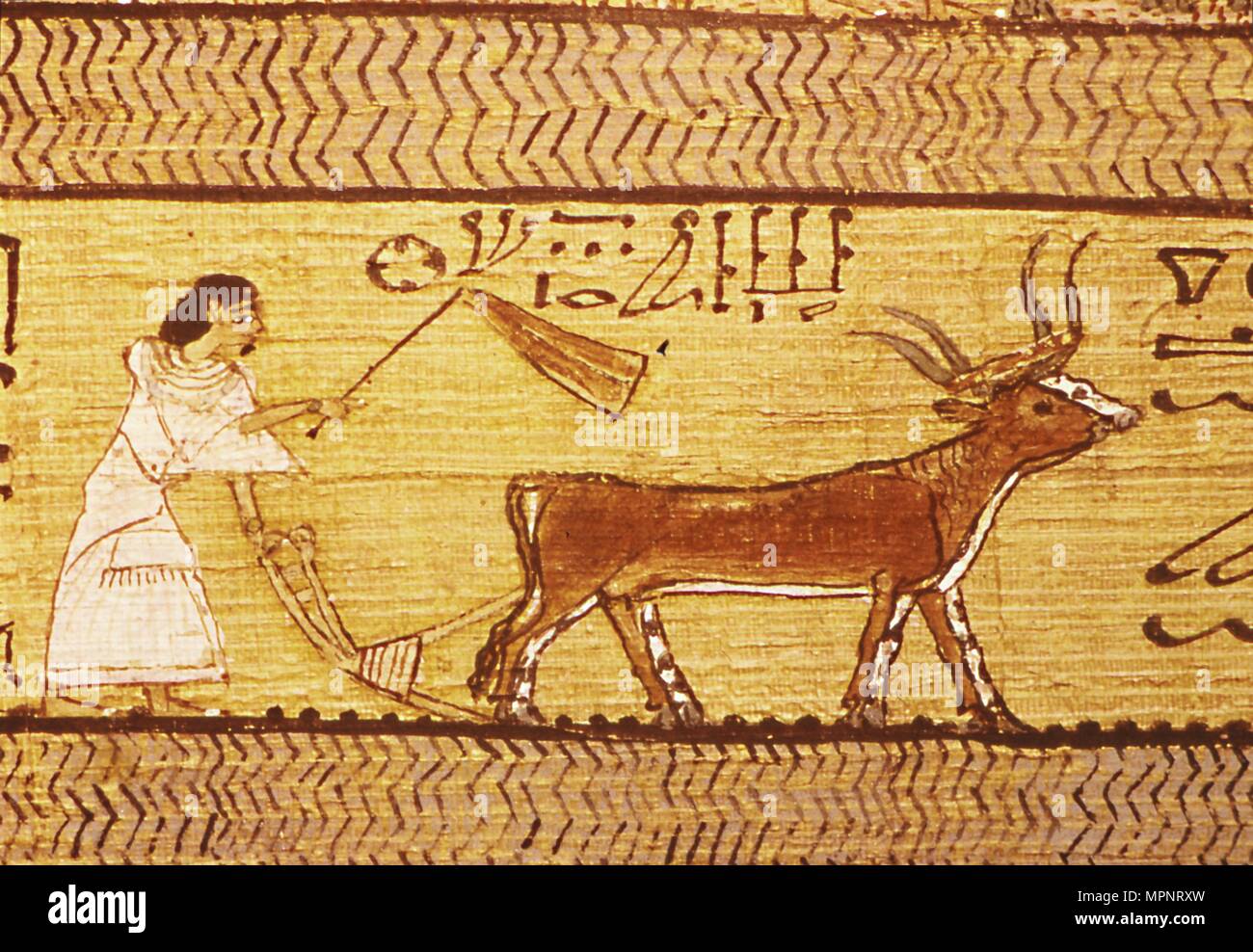 Egyptian papyrus animals hi-res stock photography and images - Alamy