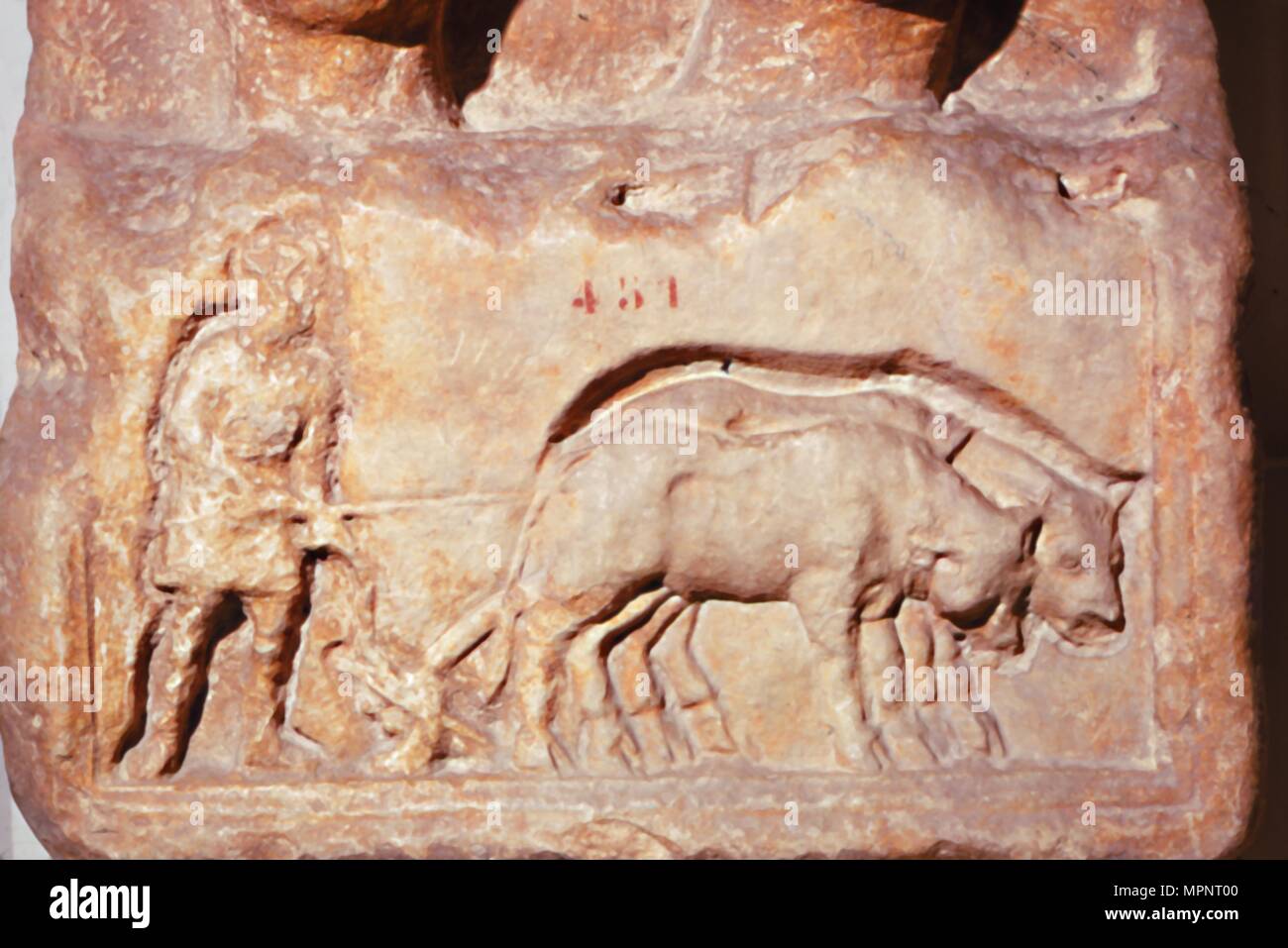 Roman Relief, Ploughing with Oxen, c1st century. Artist: Unknown Stock ...