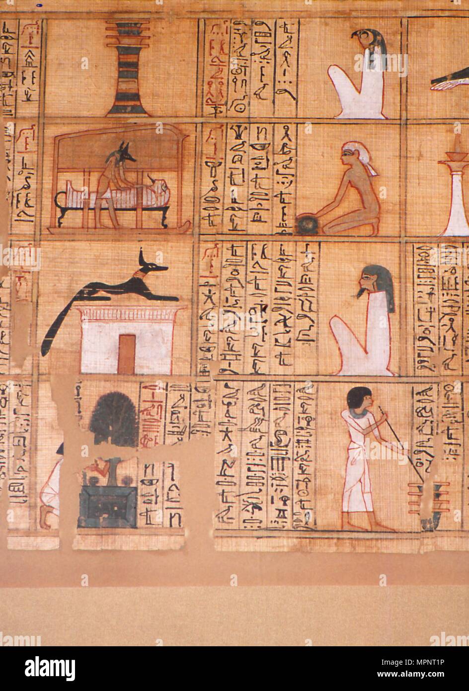 Anubis Ancient Egyptian Papyrus