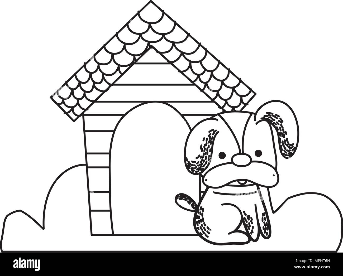 What Is A House Line For A Dog