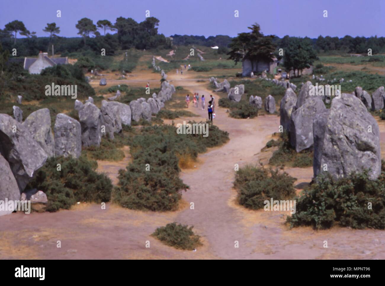 Carnac, Brittany Alignments at Kermario, Neolithic, 4500-2000 BC ...