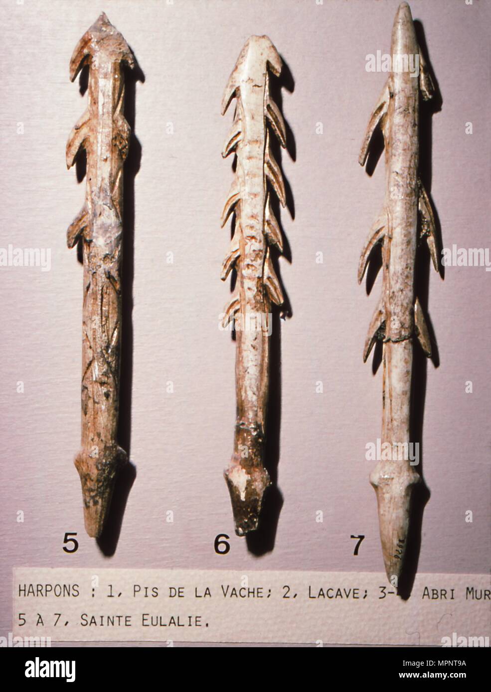 Bone Harpoons for fishing, Dordogne region, France, Paleolithic Period, (c20th century). Artist ...
