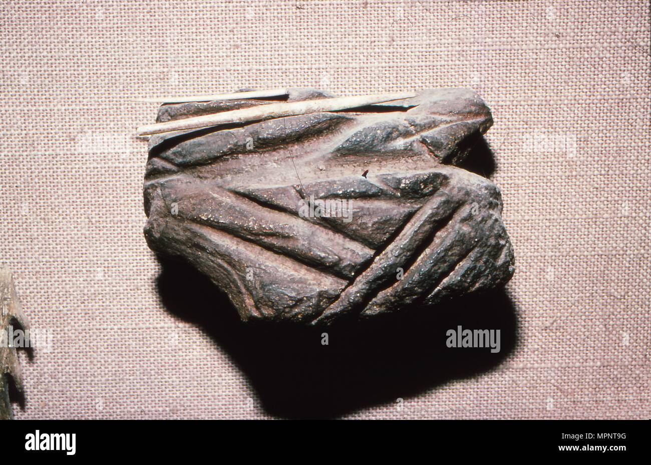 Palaeolithic tool hi-res stock photography and images - Alamy