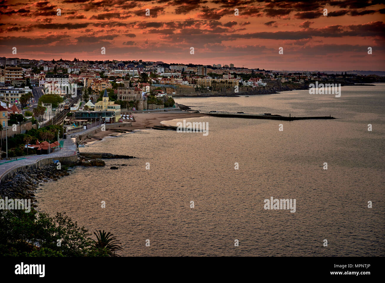 Cascais shells hi-res stock photography and images - Alamy